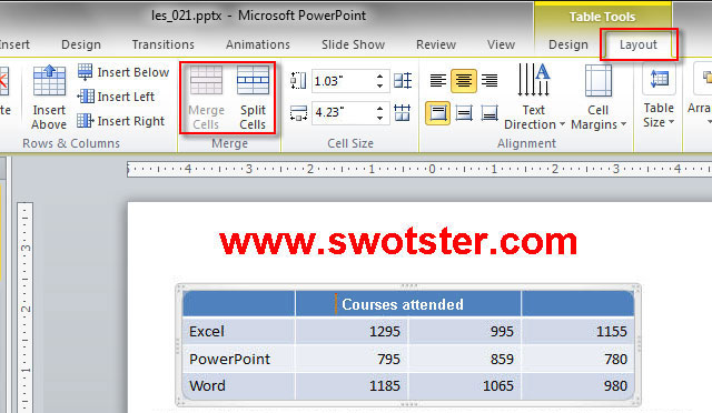 Swotster Powerpoint 2010 - Swotster Powerpoint 2010 -